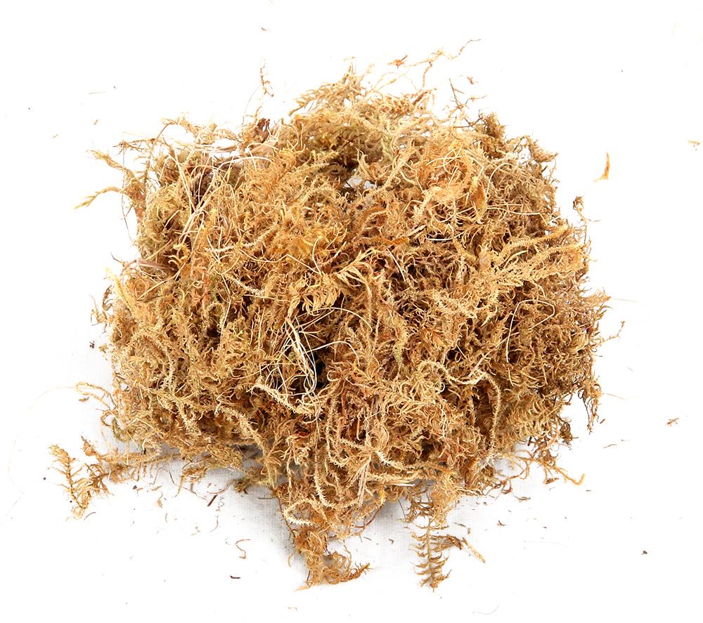 JFH Horticultural Supplies Ltd. Welsh Moss